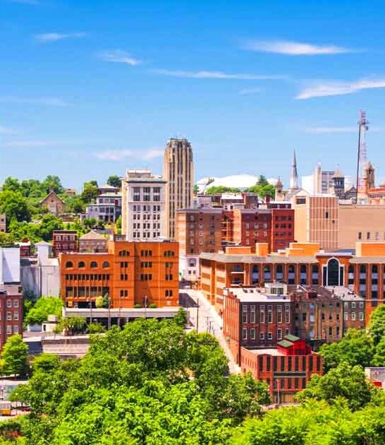 overlooked virginia city rent ftr