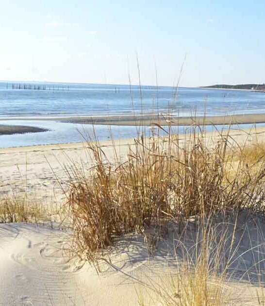 overlooked virginia state park ftr