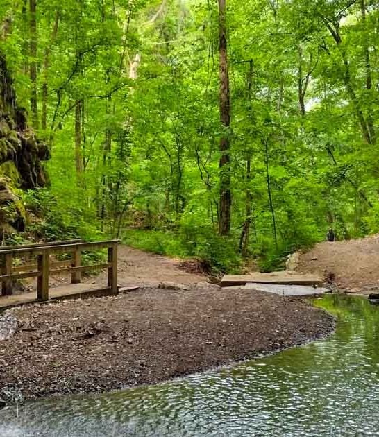 park georgia underrated ftr