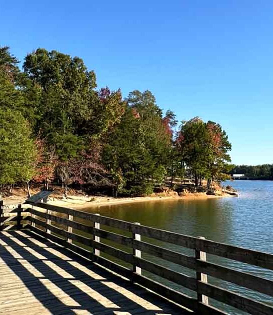 park gorgeous south carolina ftr