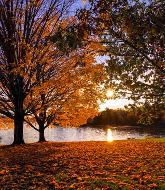 park pennsylvania truly spectacular ftr