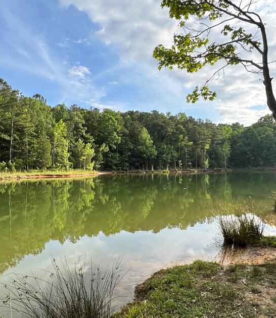 park south carolina underrated ftr