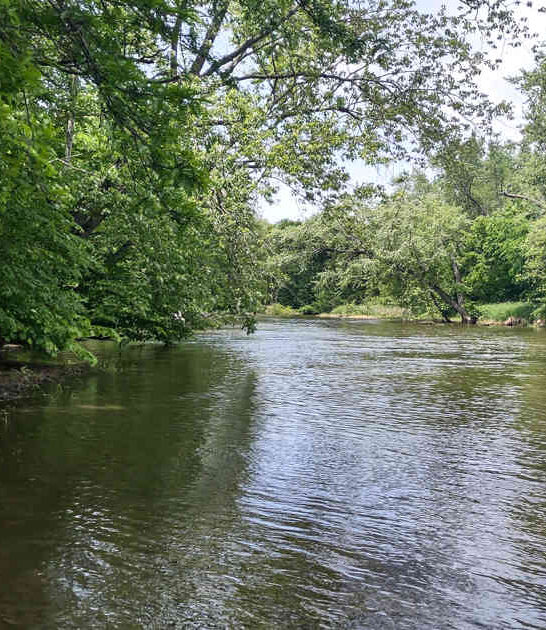 peaceful indiana state park ftr