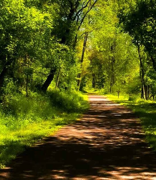 pennsylvania enchanting nature sanctuary ftr