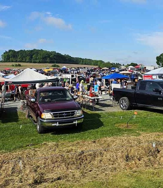 pennsylvania markets flea massive ftr