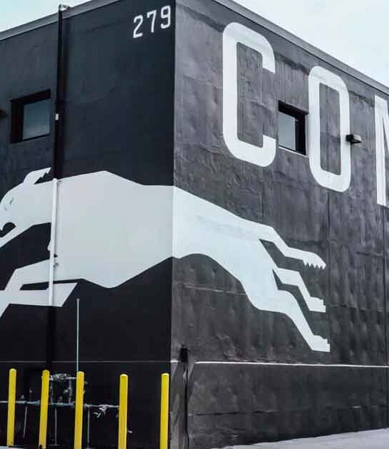 pickleball themed restaurant georgia FTR