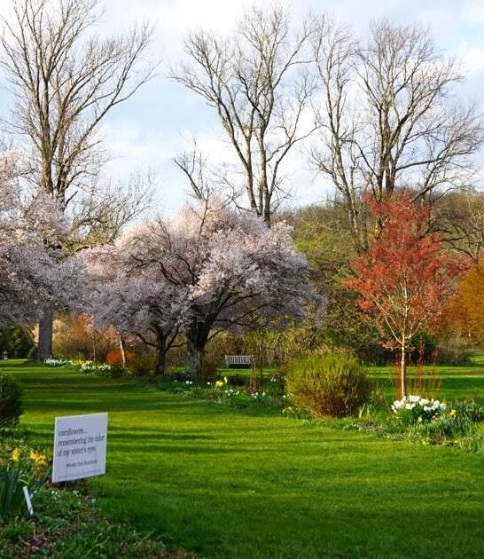 picturesque new jersey garden ftr
