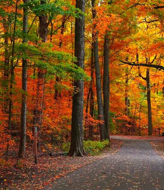 picturesque roads michigan beautiful ftr