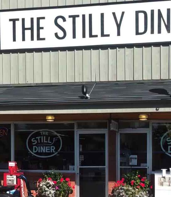 pint sized washington diner ftr