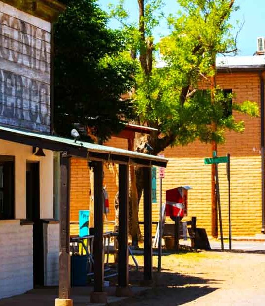 preserved wild town arizona ftr