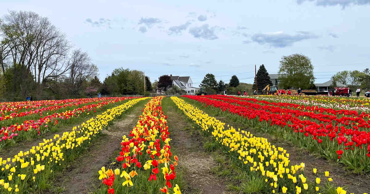 Pretty Mass You'll Feel Like You're Walking Through A Monet Painting At This Dreamy ...