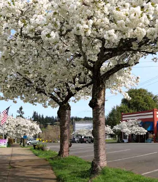 quaint beautiful oregon town ftr