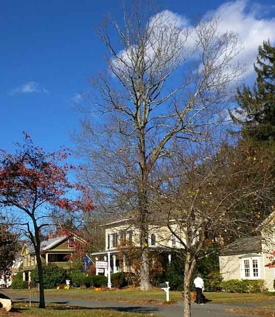 quaint little connecticut town ftr