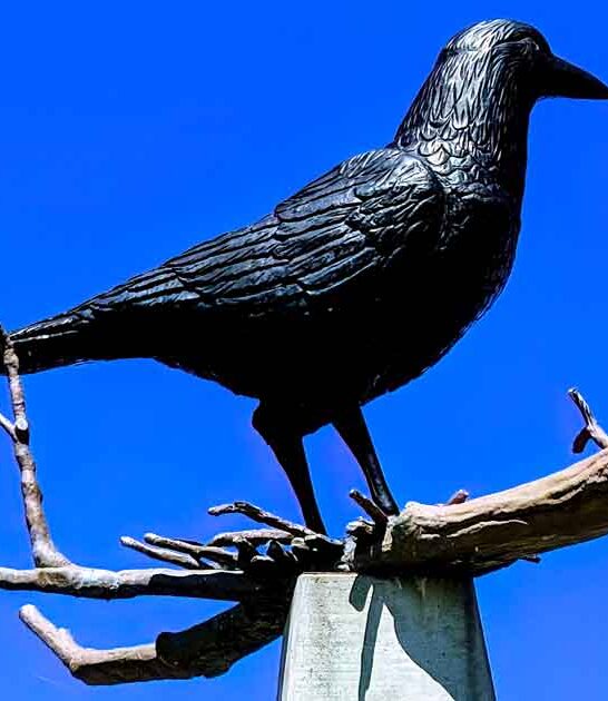 quirkiest roadside attraction minnesota ftr