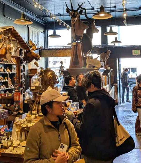 quirky california shop ftr