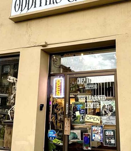 quirky finds colorado shop ftr