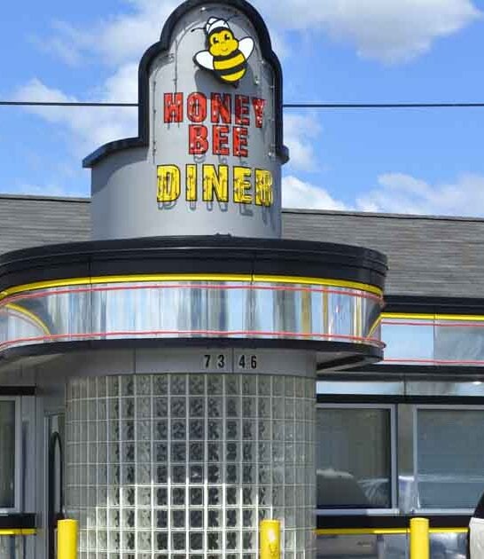 raving town diner maryland ftr