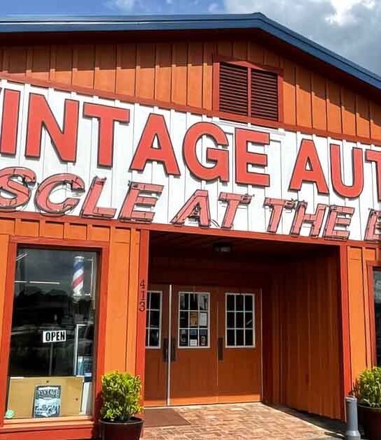 remarkable south carolina car ftr