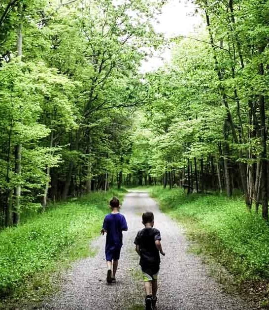 remote new york park ftr