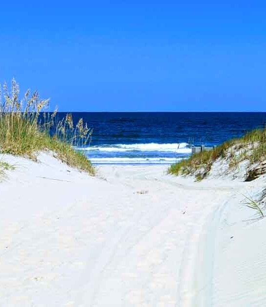 remote virginia beach perfect ftr