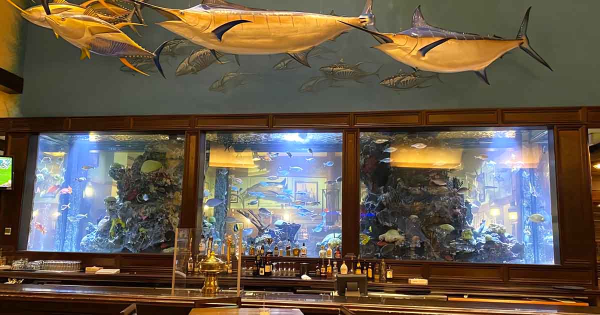 This Enchanting Restaurant In Virginia Lets You Dine With Fish Swimming ...