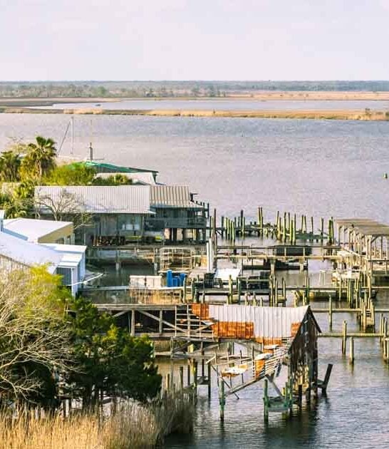 retire stunning florida town ftr