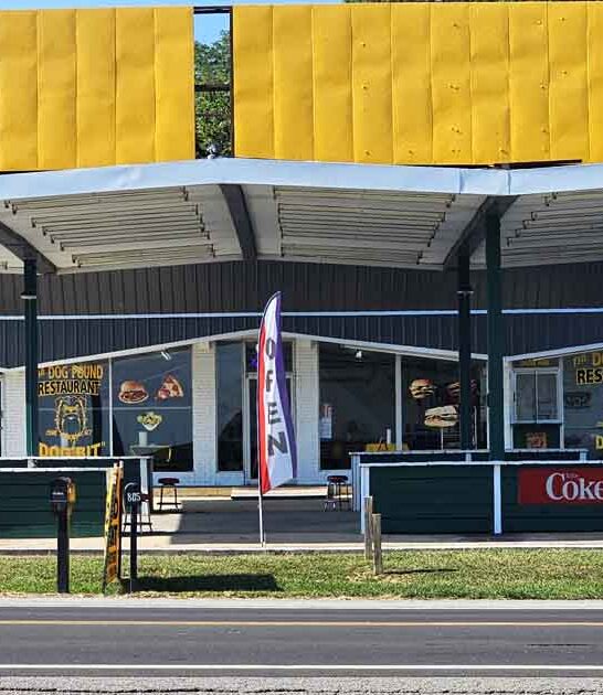 retro kentucky hot dog ftr