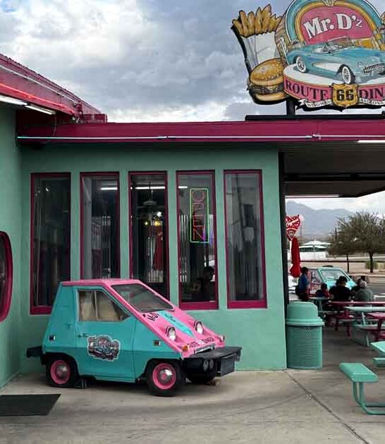 retro unique arizona diner ftr