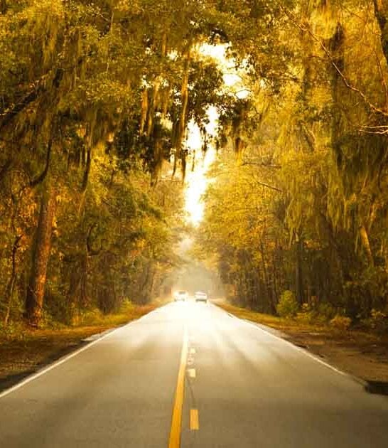 roads south carolina scenic ftr