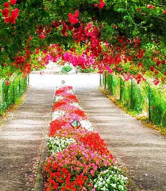 rose garden art washington ftr