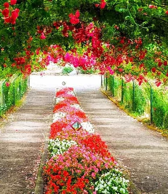 rose garden visit washington ftr