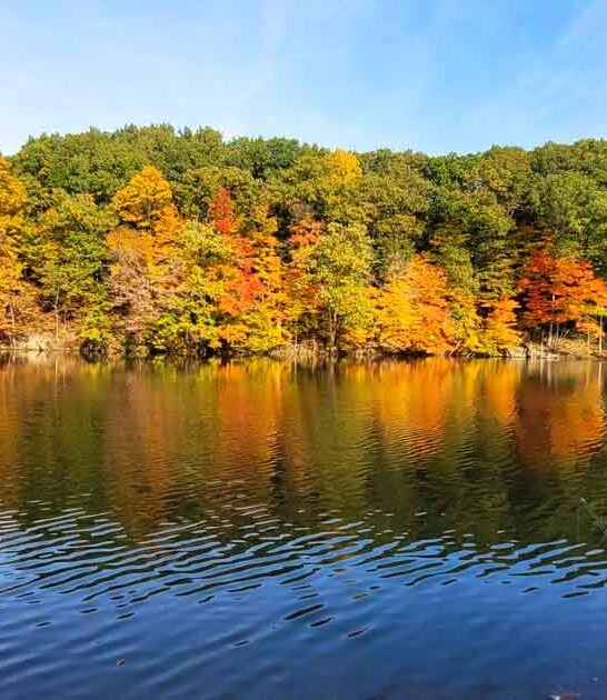 scenery ohio state park ftr