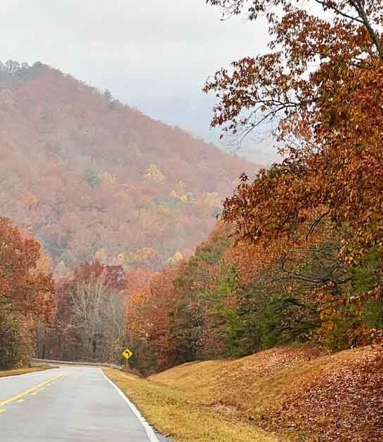 scenic alabama roads ftr