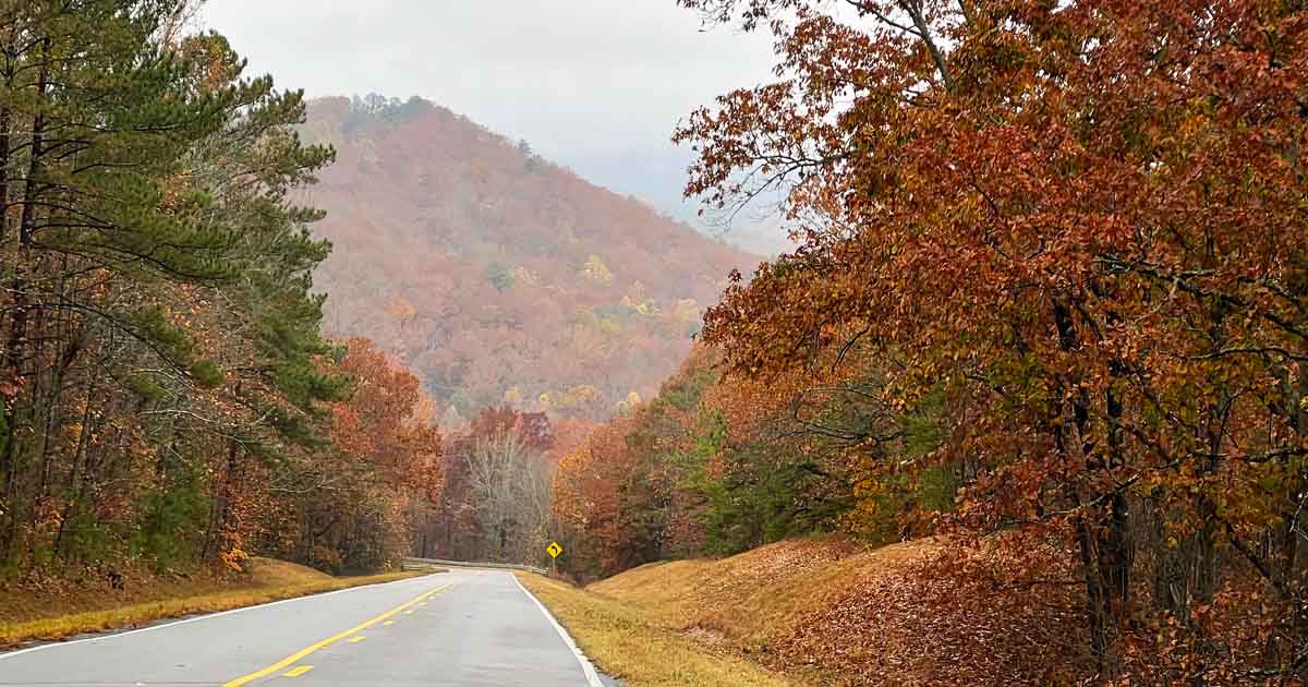 Roads In Alabama That Are So Scenic You'll Forget Where You Were ...