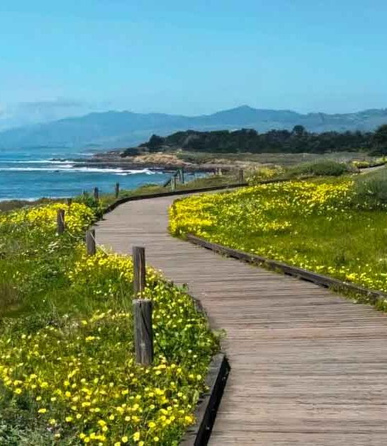 scenic boardwalk view california ftr