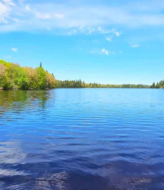 scenic fishing spot michigan ftr