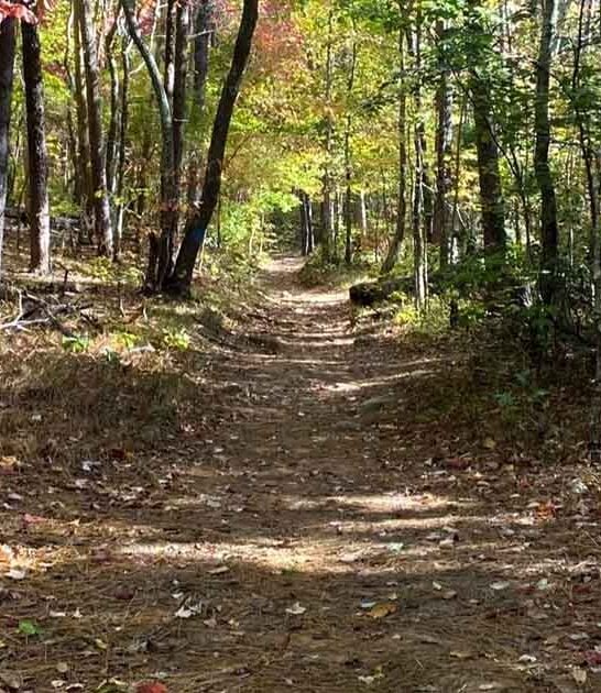 scenic hike alabama views ftr
