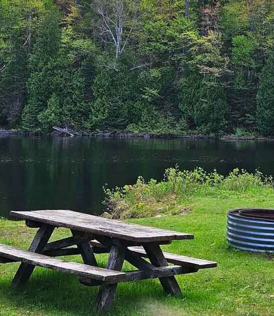 scenic lake fishing michigan ftr