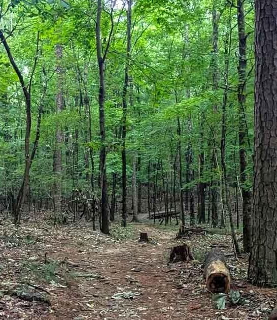 scenic mountain trail alabama ftr