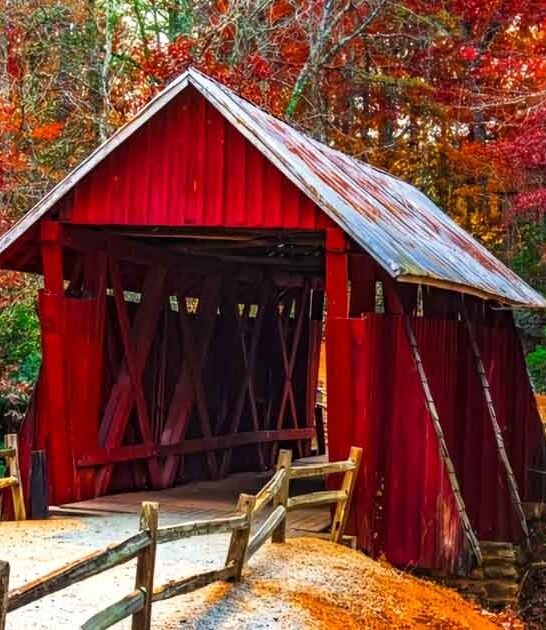 scenic south carolina therapy ftr