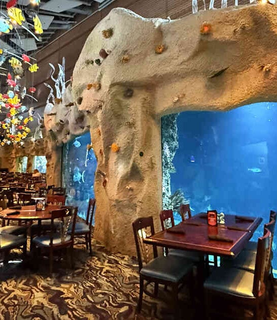You&rsquo;ll Feel Like You&rsquo;re Eating Under The Sea At This Spectacular Colorado Restaurant