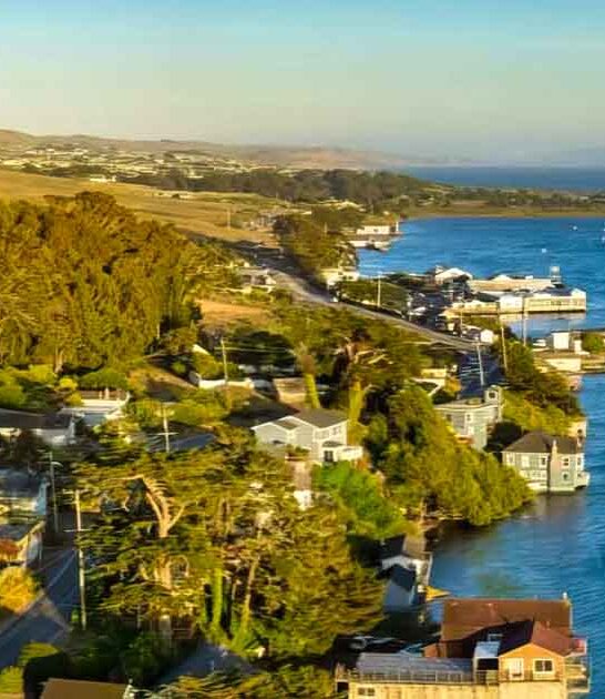 seafood california adorable town ftr