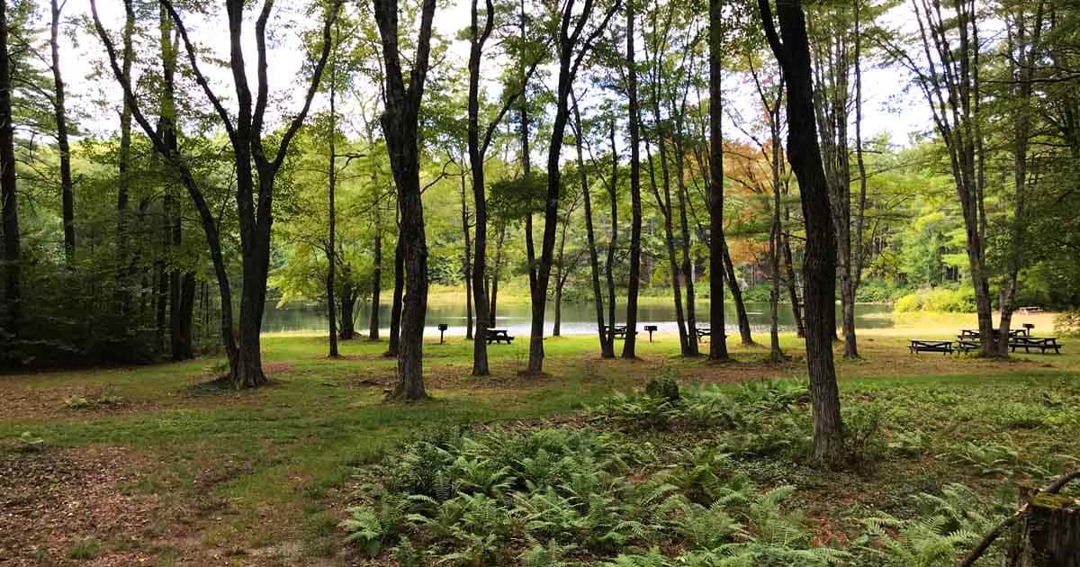 This Under-The-Radar Massachusetts State Park Feels Like A Secret Getaway