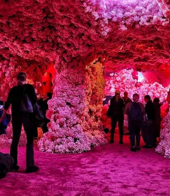 secret new york museum ftr