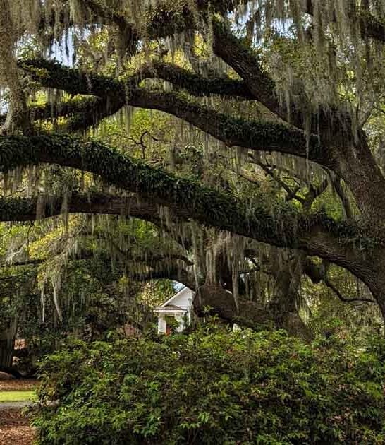 secret north carolina enchanting ftr