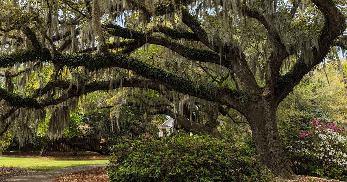 These 8 Secret Spots In North Carolina Are So Enchanting, You'll Think ...