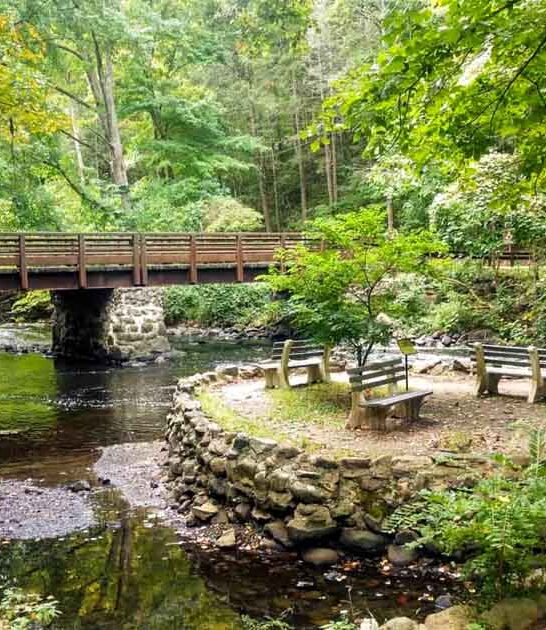 secret park new jersey ftr