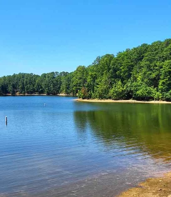 secret park south carolina ftr