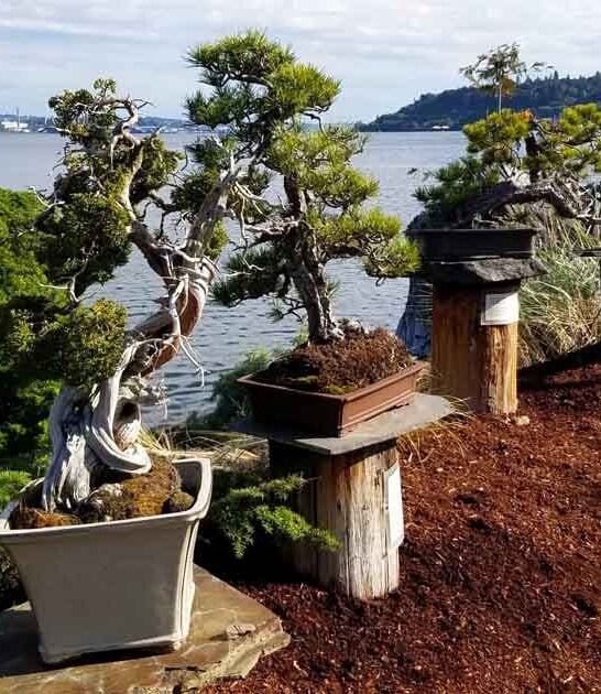 secret spots washington locals ftr