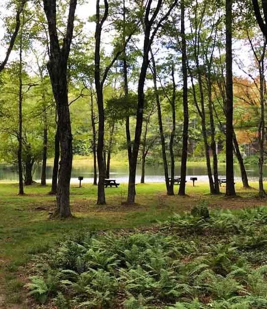 secret state park massachusetts ftr